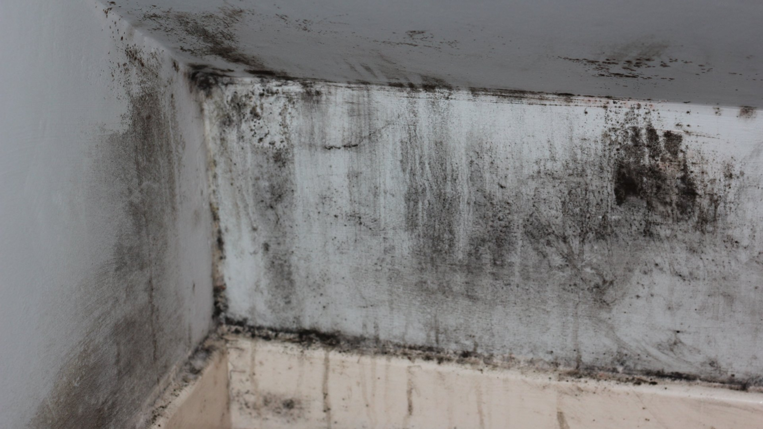 Kuldebroer » Undgå kuldebroer og brug færre penge på varme